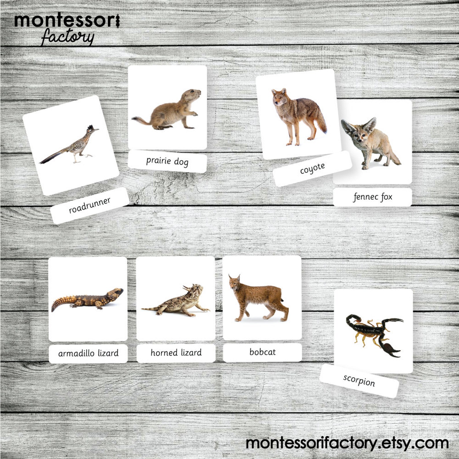 DESERT ANIMALS Montessori Cards Flash Cards Three Part - Etsy