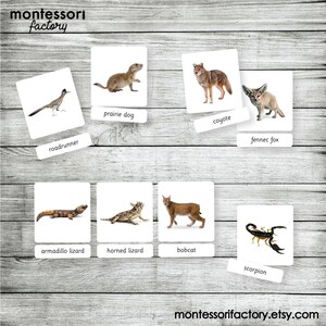 DESERT ANIMALS • Montessori Cards • Flash Cards • Three Part Cards ...