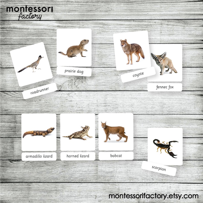 Desert Animals Montessori Nomenclature Cards • Educational Printable ...