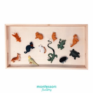 FARM ANIMALS • TOOB Figurines Set • Montessori Toy • Sensory Bin ...