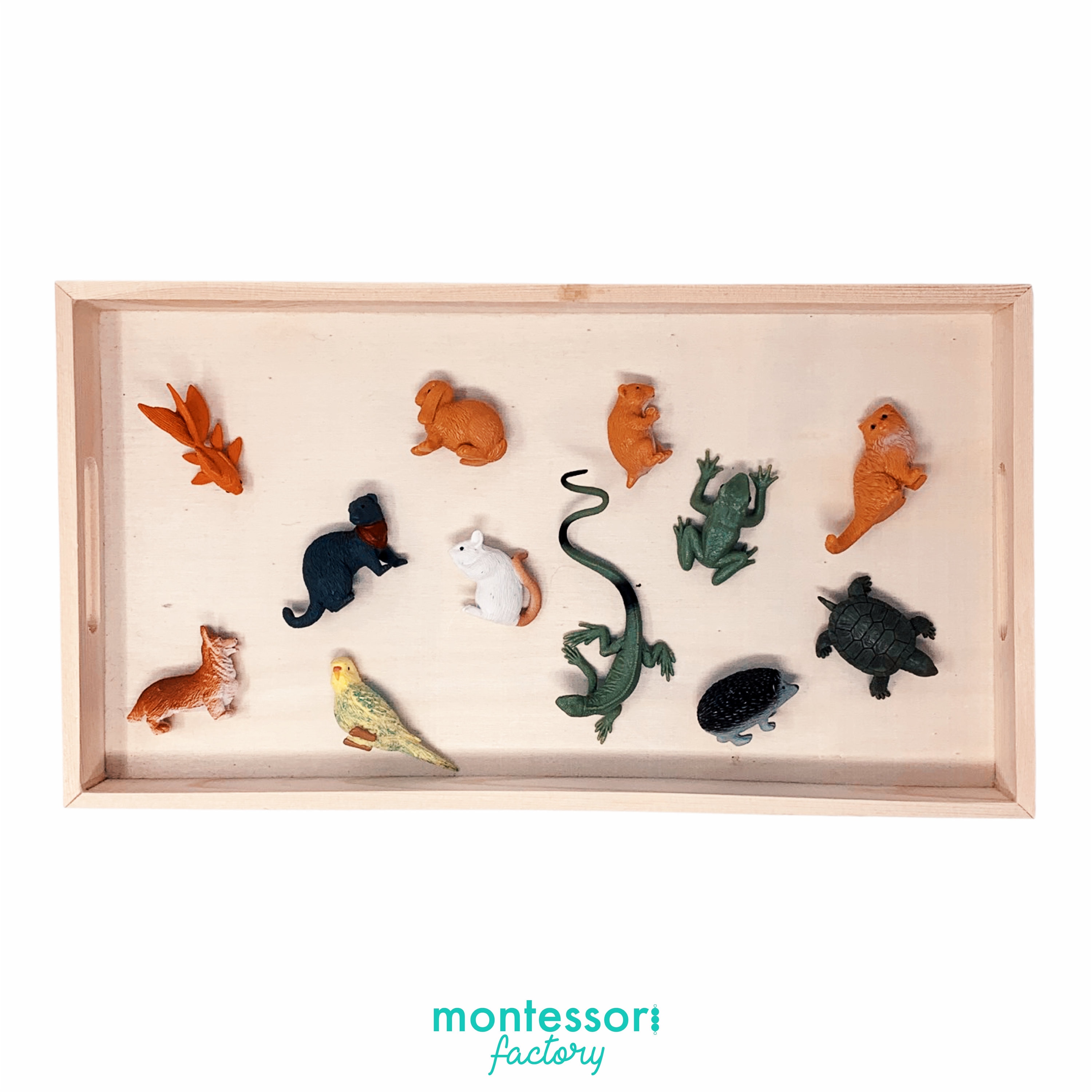OCEAN ANIMALS TOOB Figurines Set Montessori Toy Sensory | Etsy