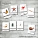 INVERTEBRATE ANIMALS Montessori Cards Flash Cards Three - Etsy