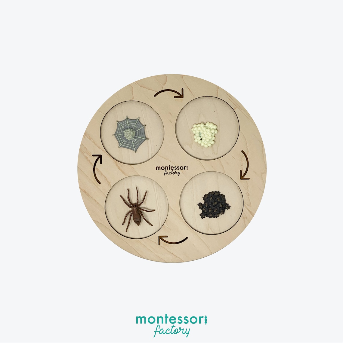 Life Cycle of a SPIDER Montessori Material Educational Toy - Etsy Canada
