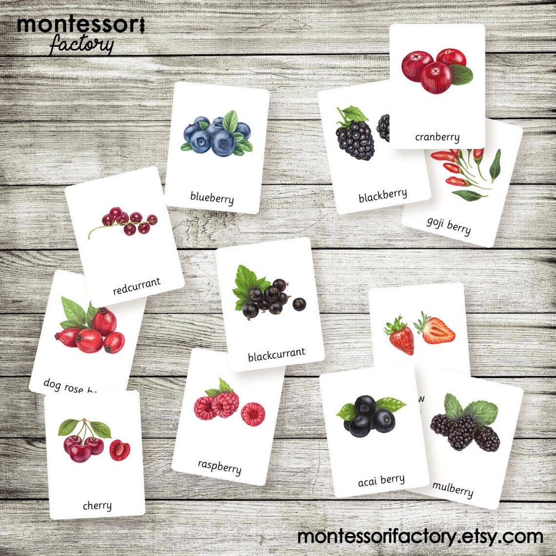 BERRIES Montessori Cards Flash Cards Three Part Cards | Etsy
