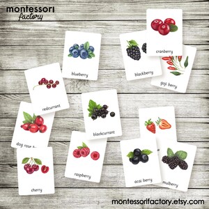 BERRIES ⦿ Montessori Cards • Flash Cards • Three Part Cards ...