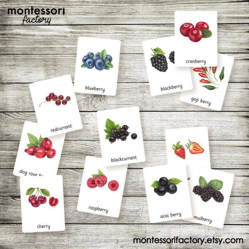 Montessori Berries Nomenclature Cards • Editable PDF Flash Cards - Etsy