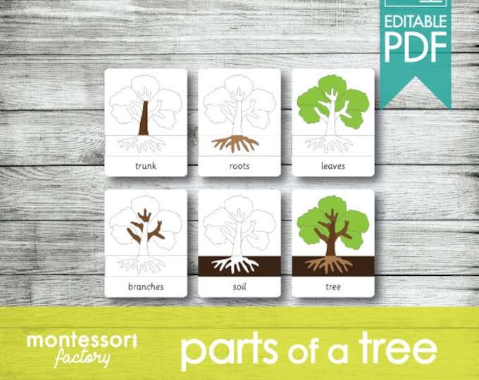 DIGITAL Printable PDF Download to Make Montessori Botany Felt - Etsy