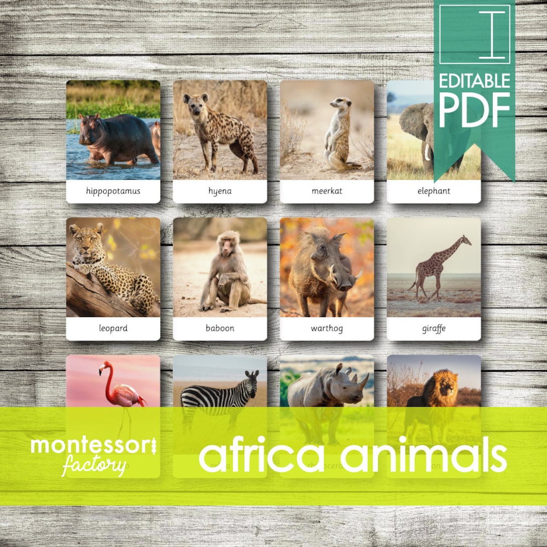 AFRICA ANIMALS • Montessori Cards • Flash Cards • Three Part Cards ...