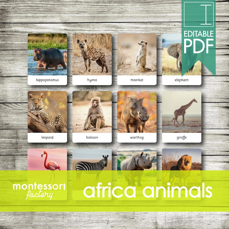 AFRICA ANIMALS Montessori Cards Flash Cards Three Part - Etsy