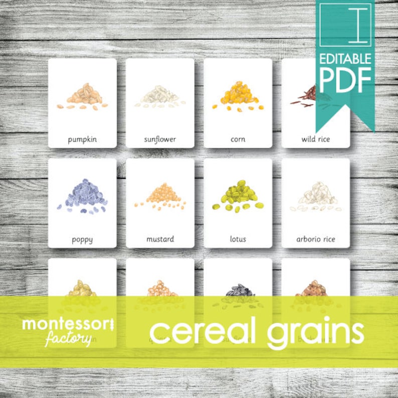 Cereal SEEDS and GRAINS Montessori Cards Flash Cards Three - Etsy