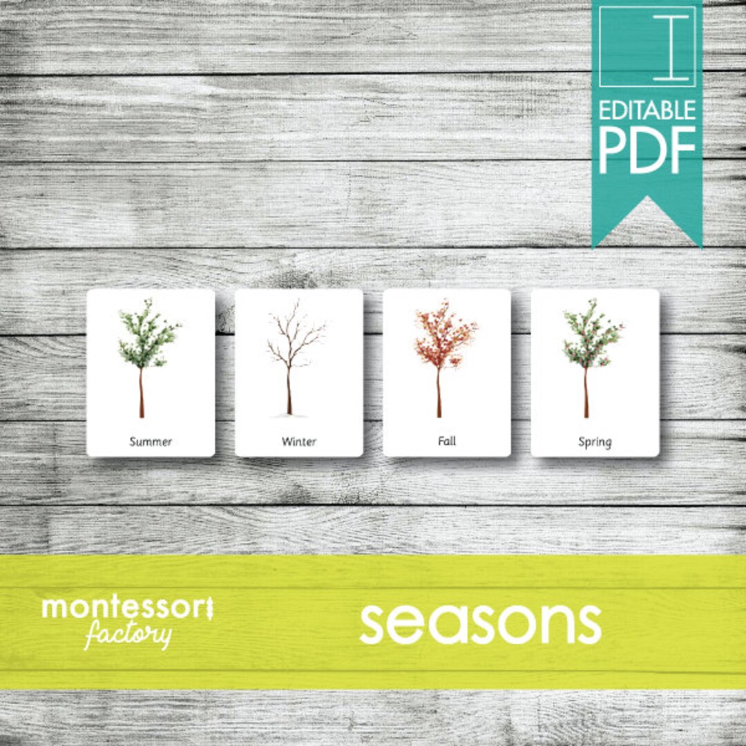 SEASONS • Montessori Cards • Flash Cards • Three Part Cards ...