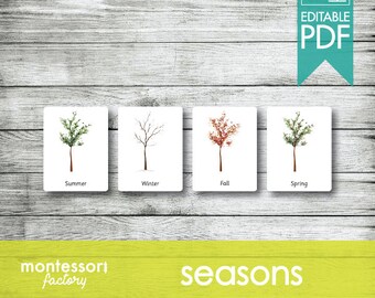 20 Christmas Traditions - Montessori Cards • Flash Cards • Three Part ...