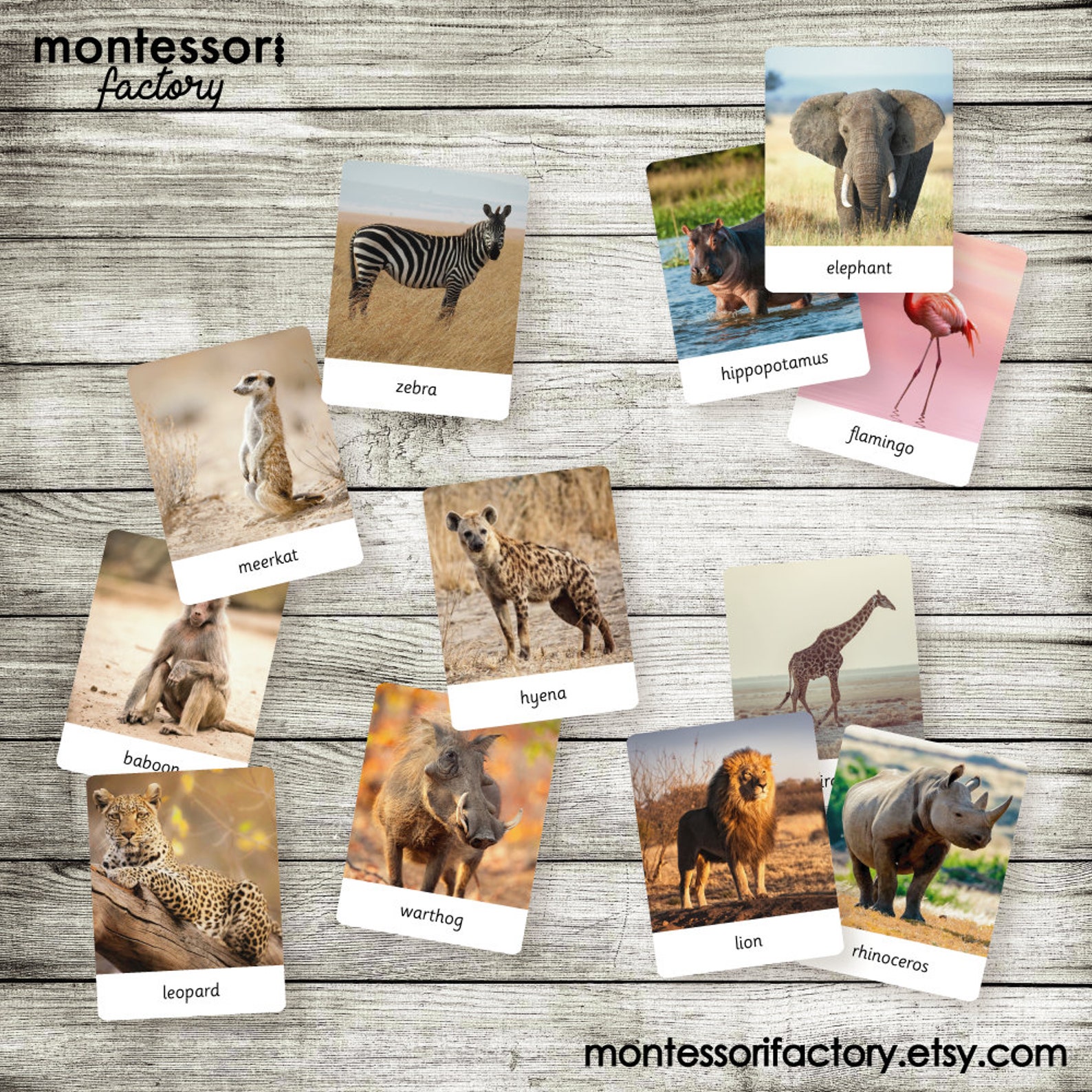 AFRICA ANIMALS Montessori Cards Flash Cards Three Part - Etsy