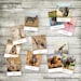 AFRICA ANIMALS • Montessori Cards • Flash Cards • Three Part Cards ...