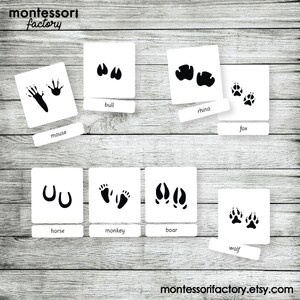 ANIMAL TRACKS Montessori Nomenclature Flash 3 Parts Cards Educational ...