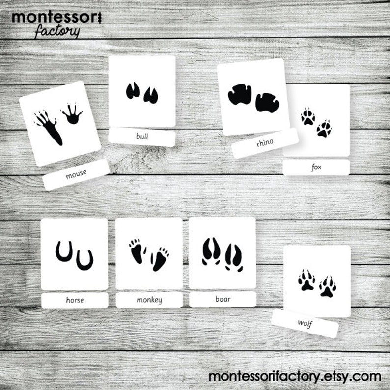 ANIMAL TRACKS Montessori Nomenclature Flash 3 Parts | Etsy
