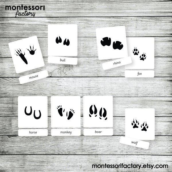 ANIMAL TRACKS Montessori Nomenclature Flash 3 Parts - Etsy