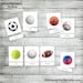 SPORT BALLS • Montessori Cards • Flash Cards • Three Part Cards ...