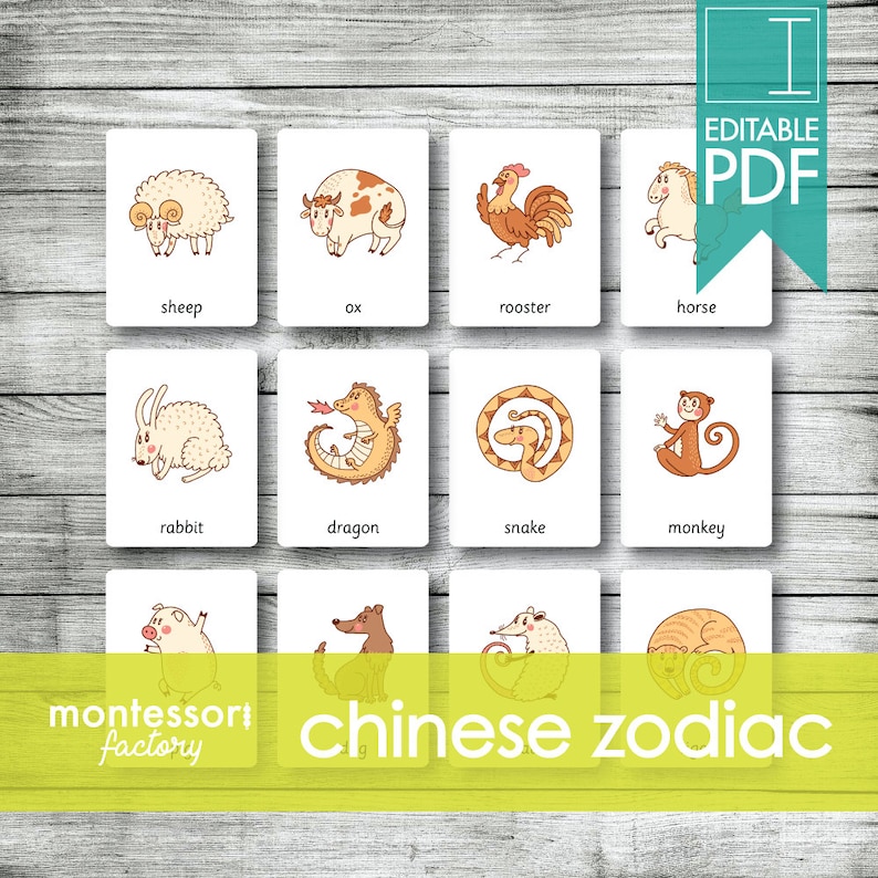 CHINESE ZODIAC HOROSCOPE Signs Flash Cards Three Part - Etsy