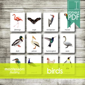 BIRDS ANIMALS Montessori Cards Flash Cards Three Part Cards ...