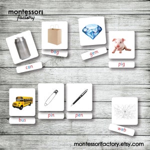 PINK SERIES Montessori Cards, Flash Cards, Three Part Cards ...