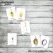 PARTS of a SEED Montessori Cards Flash Cards Three Part - Etsy