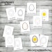 PARTS of an EGG Montessori Nomenclature Cards Flash Cards - Etsy