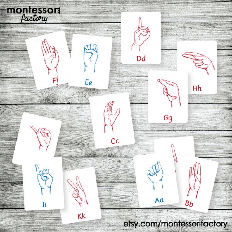 SIGN LANGUAGE Color Coded Montessori Cards Flash Cards Three - Etsy