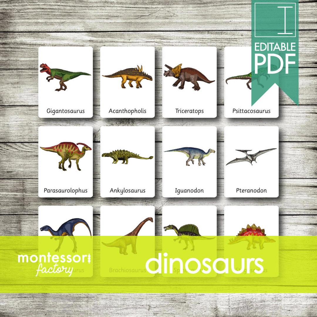 DINOSAURS • Montessori Cards • Flash Cards • Three Part Cards ...