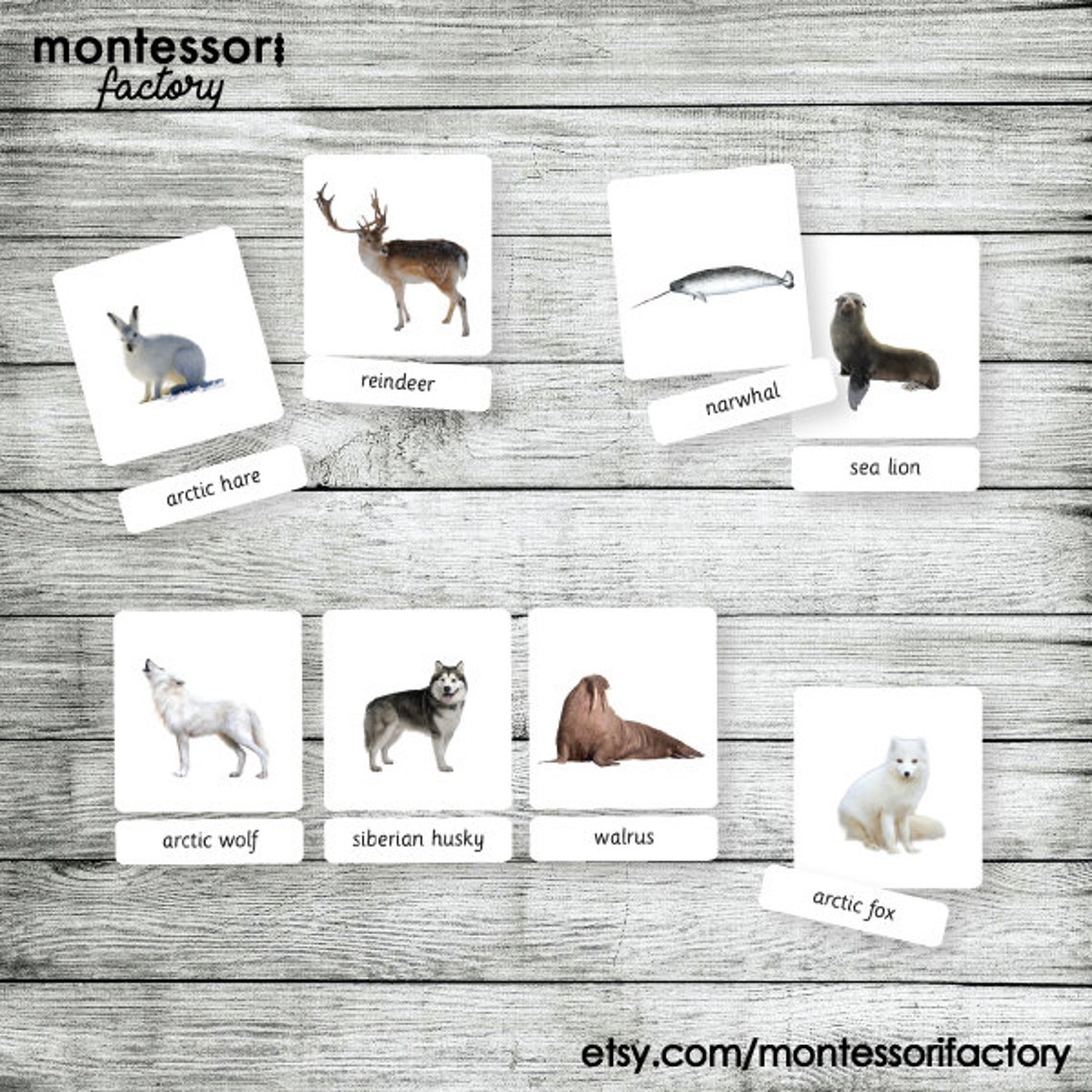 ARCTIC POLAR Animals Montessori Cards Flash Cards Three - Etsy