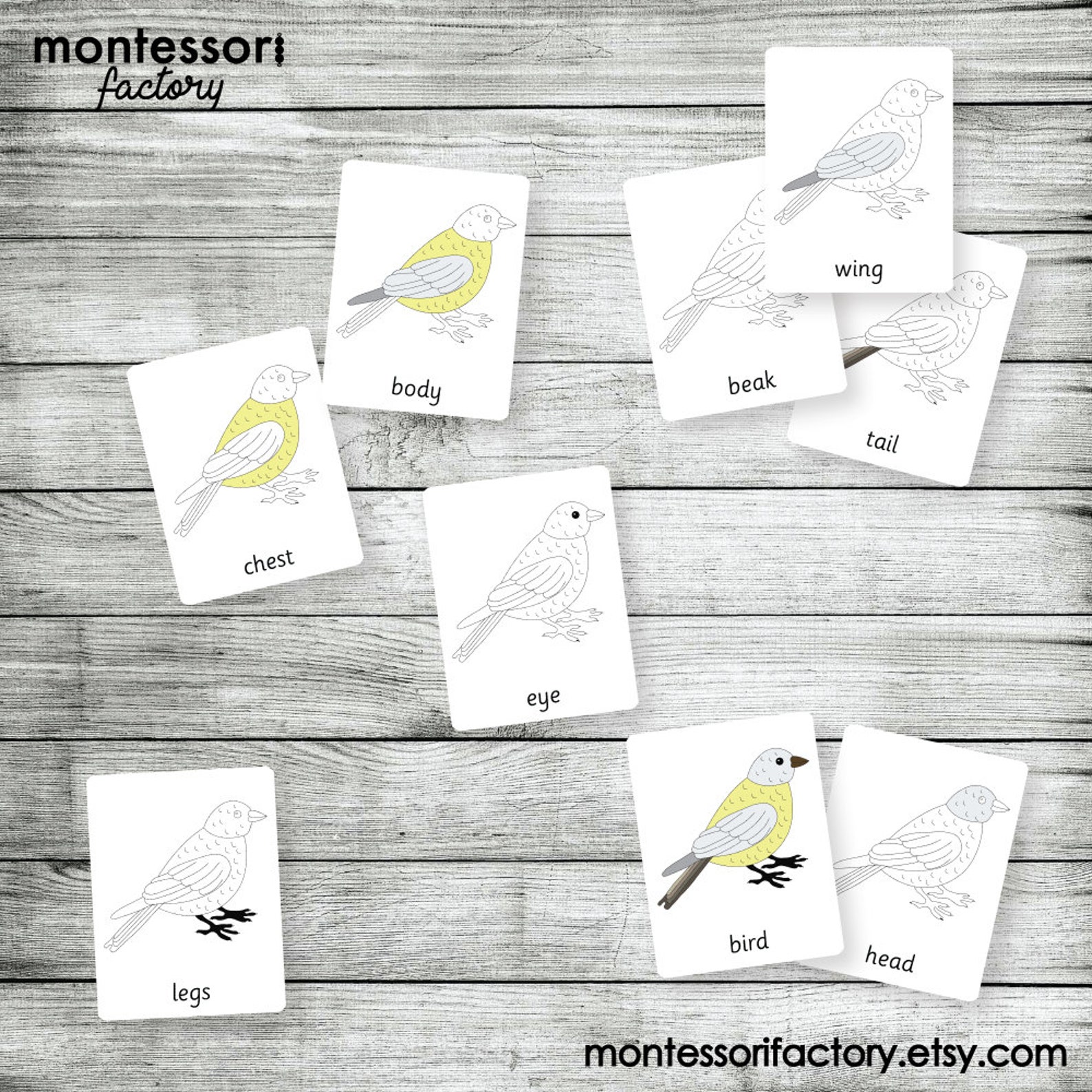 PARTS of a BIRD Montessori Cards Flash Cards Three Part Cards ...