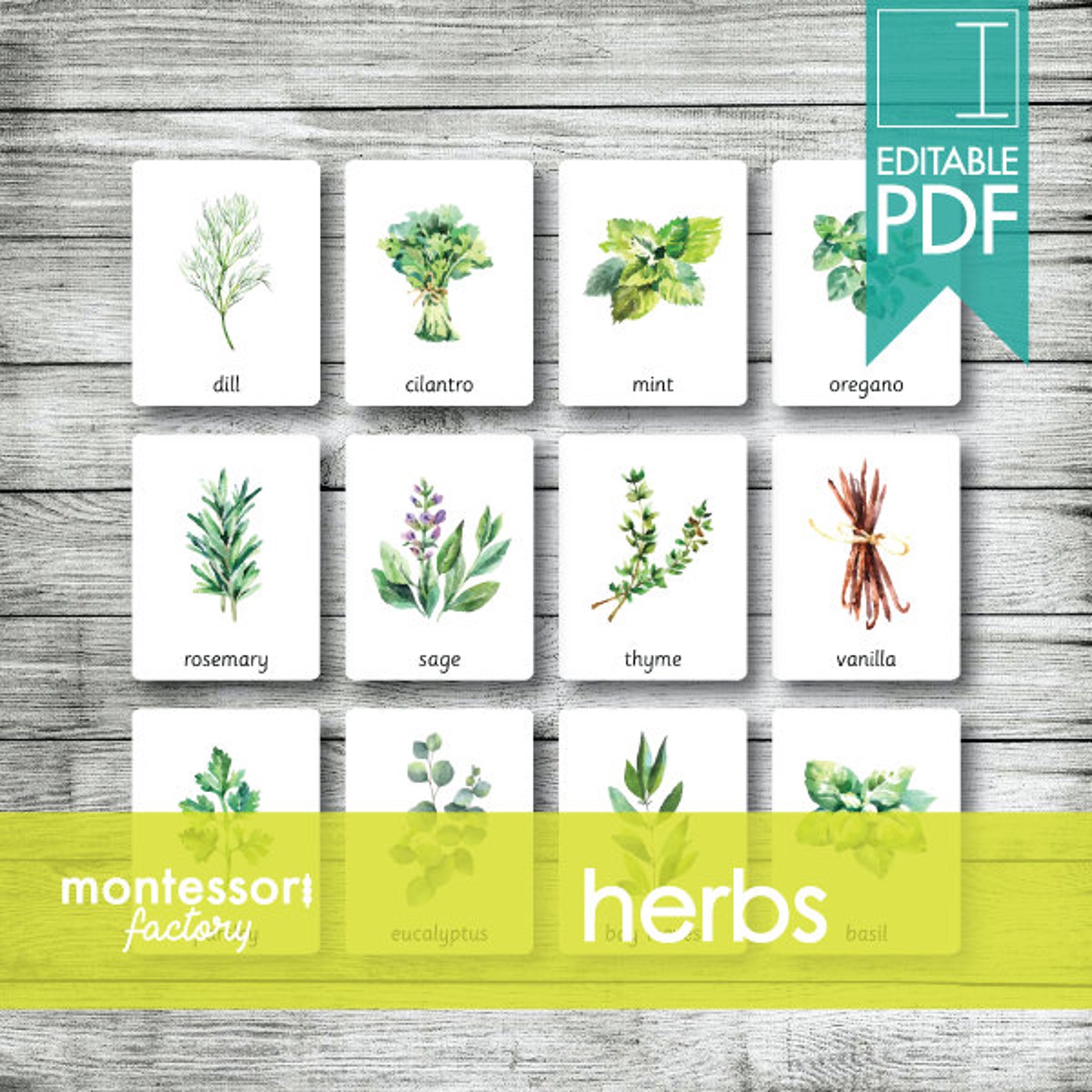 HERBS Montessori Cards Flash Cards Three Part Cards | Etsy