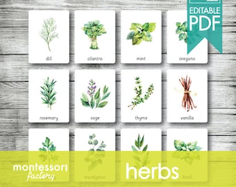 CHESS PIECES Montessori Cards Flash Cards Three Part Cards Nomenclature ...