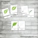 PARTS of a LEAF Montessori Cards Flash Cards Three Part Cards ...