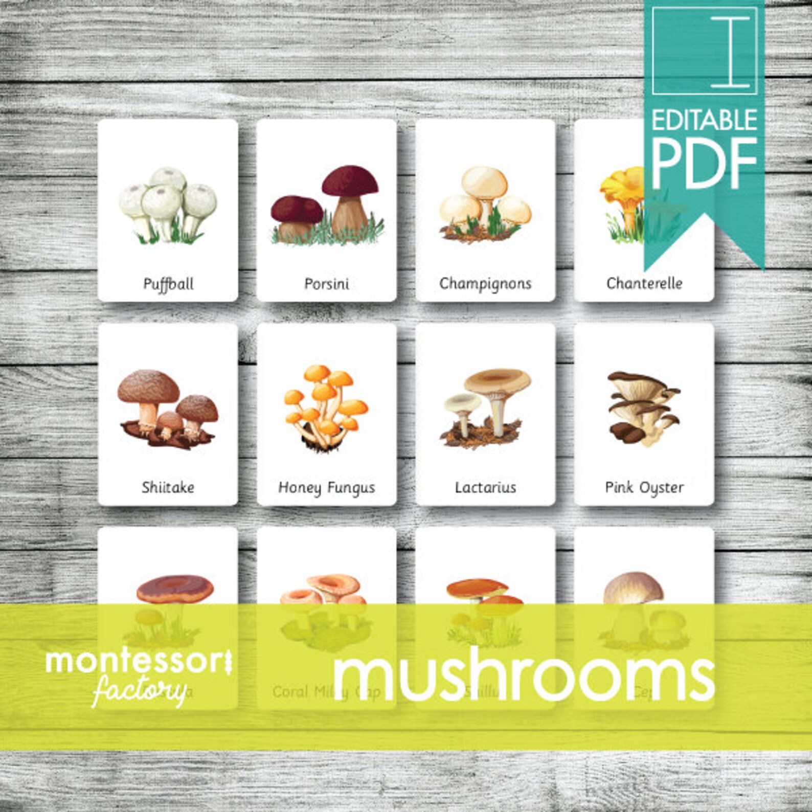 MUSHROOMS FUNGUS Montessori Cards Nomenclature Cards - Etsy