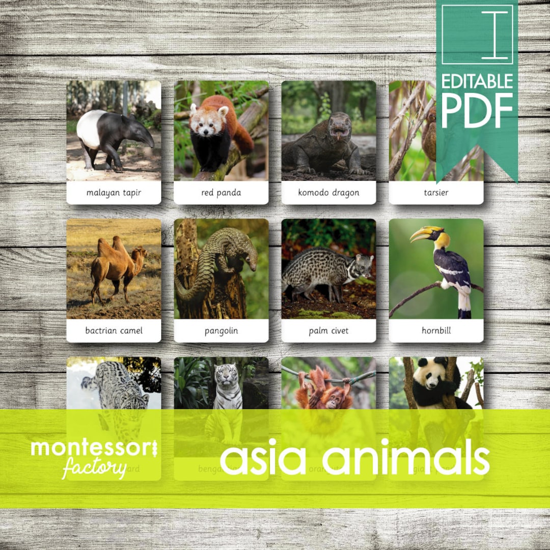ASIA ANIMALS • Montessori Cards • Flash Cards • Three Part Cards ...