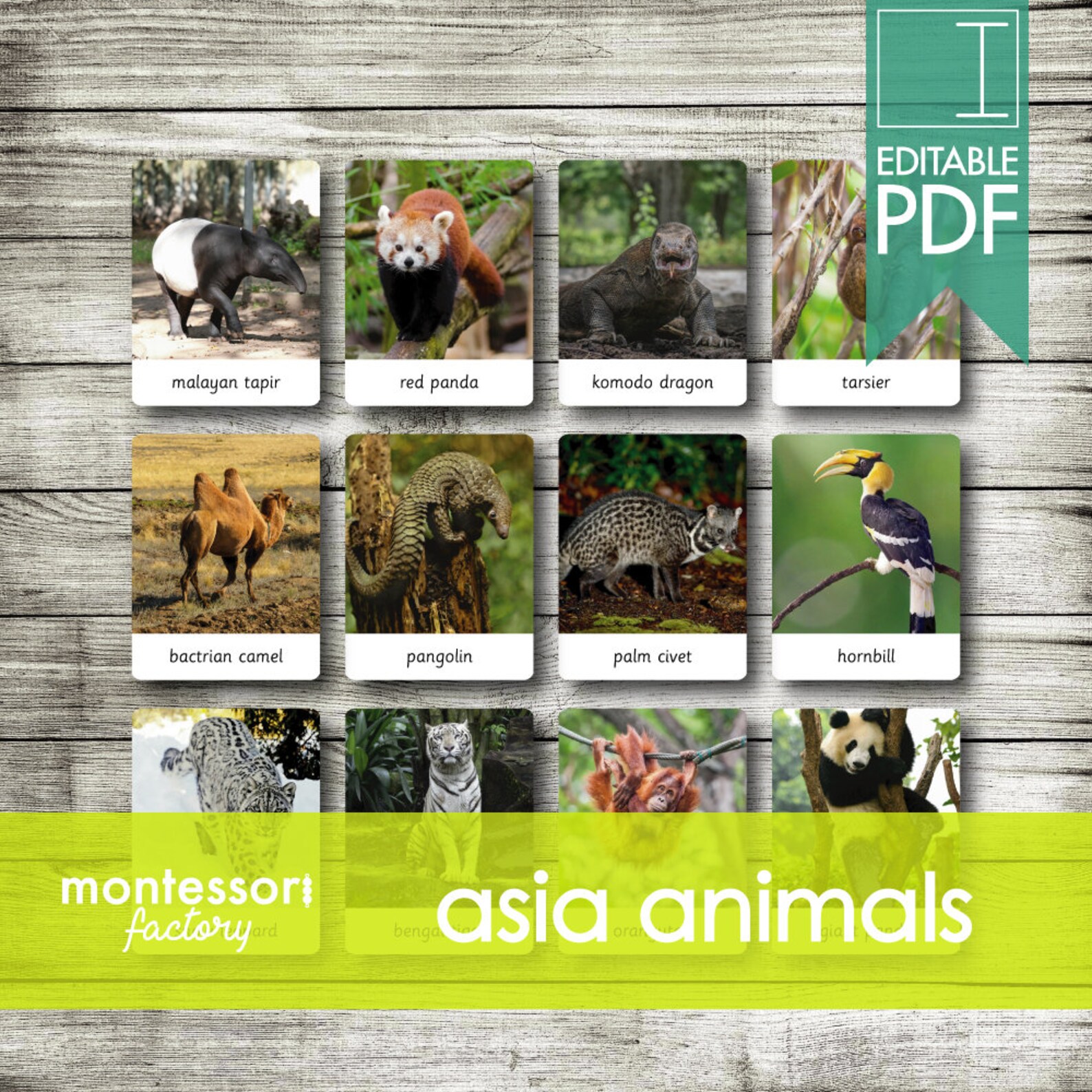 ASIA ANIMALS Montessori Cards Flash Cards Three Part | Etsy