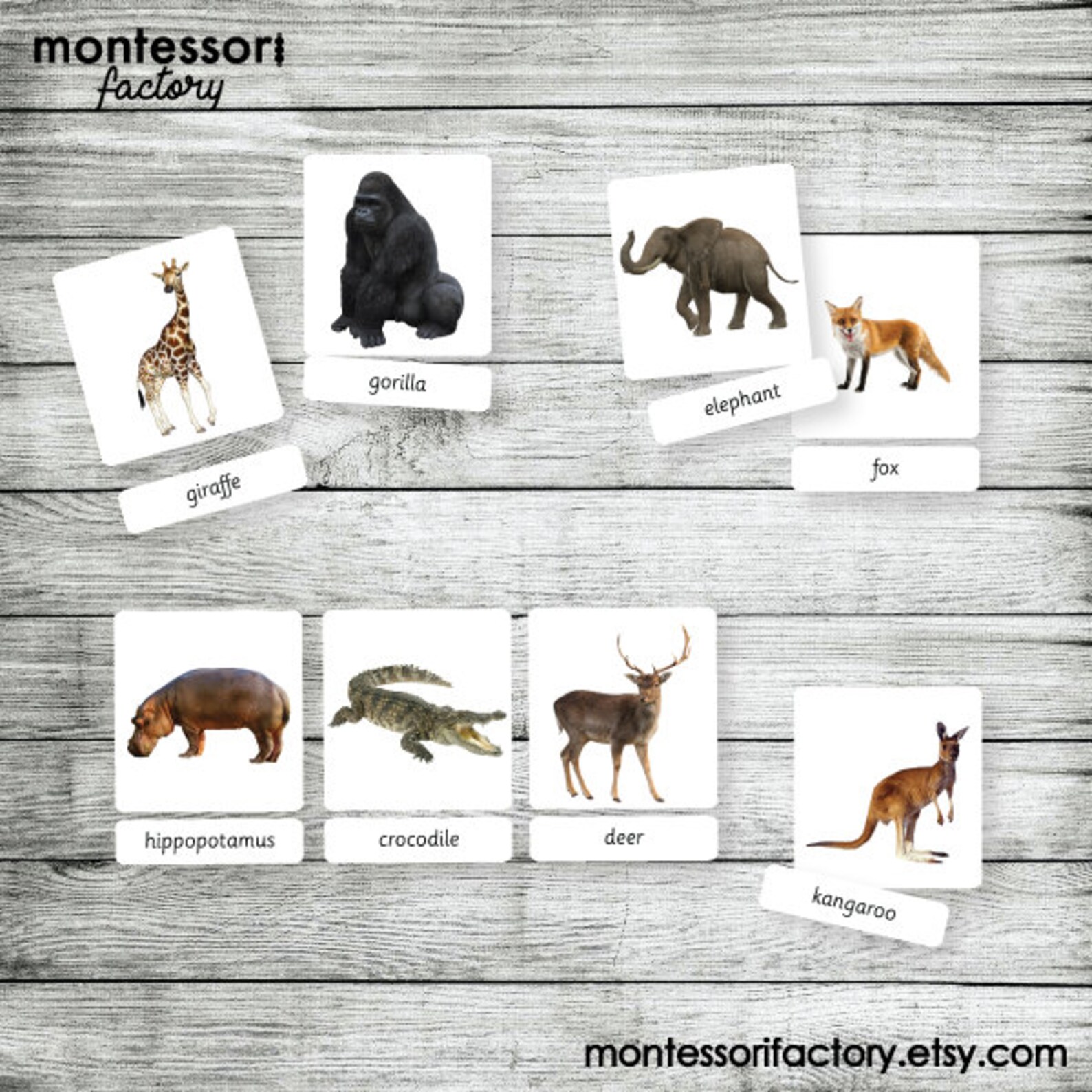 JUNGLE ANIMALS Montessori Cards Flash Cards Three Part - Etsy