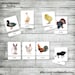 FARM ANIMALS Montessori Cards Flash Cards Three Part Cards Nomenclature ...