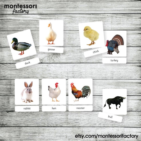 FARM ANIMALS Montessori Cards Flash Cards Three Part - Etsy