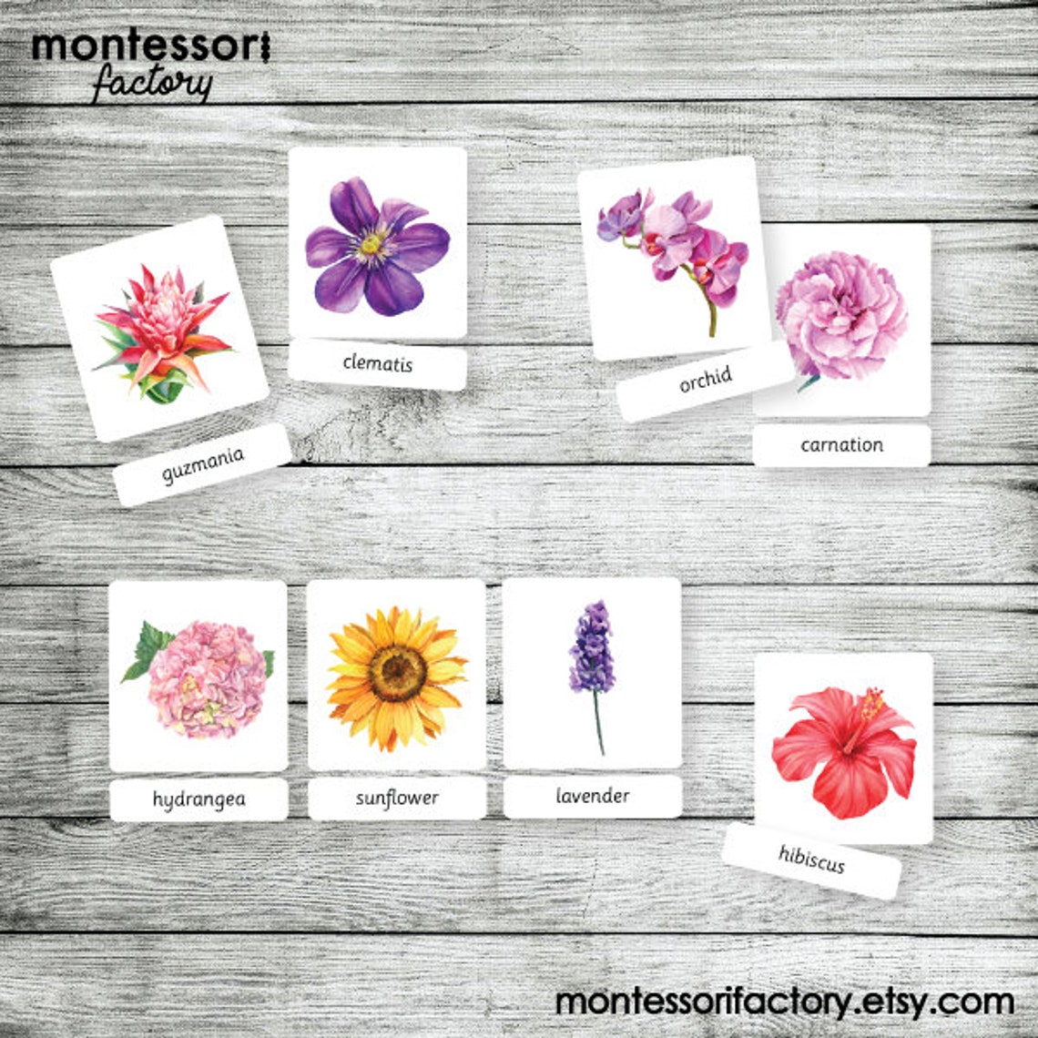FLOWERS BOTANY Montessori Cards Flash Cards Three Part - Etsy
