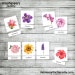 FLOWERS BOTANY Montessori Cards Flash Cards Three Part Cards ...