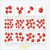 COUNTING INSECTS BUGS Numbers 1 to 20 Montessori Counting Cards Clip ...