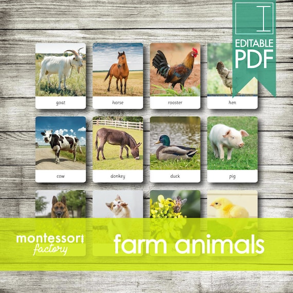 FARM ANIMALS Montessori Cards Flash Cards Three Part | Etsy