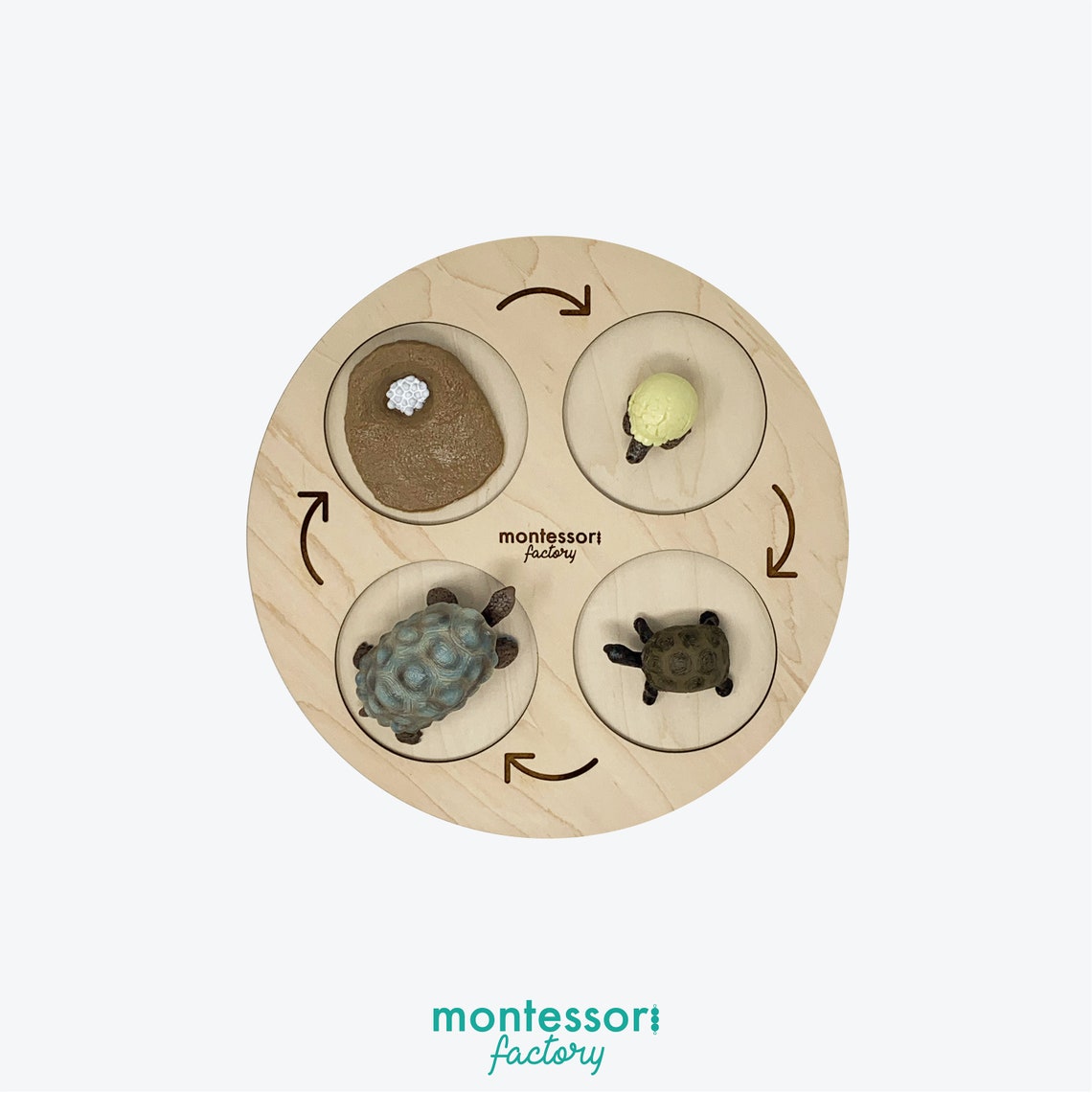 Life Cycle of a DUCK • Montessori Material • Educational Toy • Wooden ...
