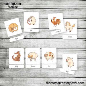 CHINESE ZODIAC • HOROSCOPE Signs • Flash Cards • Three Part Cards ...