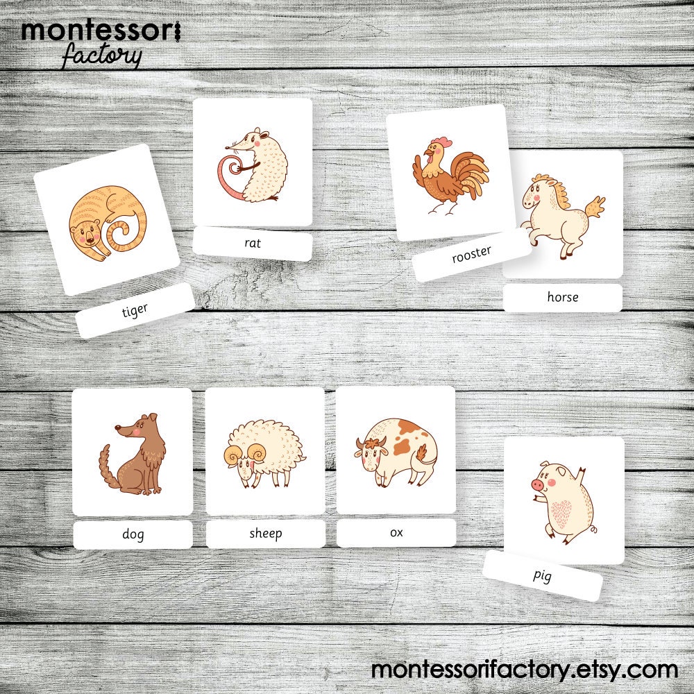 Chinese Zodiac Animal Flash Cards • Montessori Nomenclature (editable ...