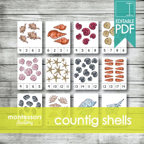COUNTING SHELLS Numbers 1 to 20 Montessori Counting Cards - Etsy