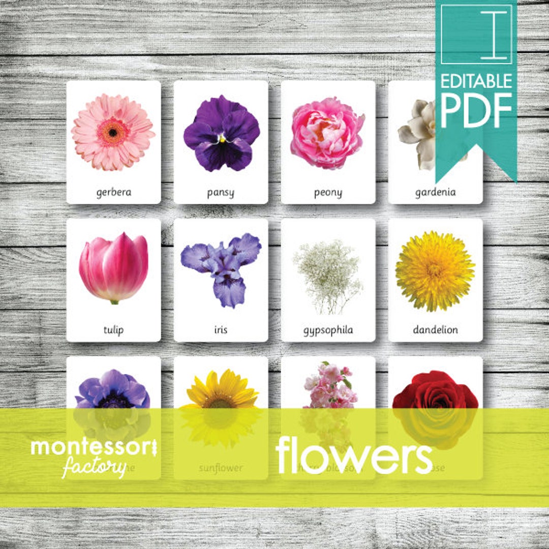 FLOWERS (real Pictures) • Montessori Cards • Flash Cards • Three Part ...