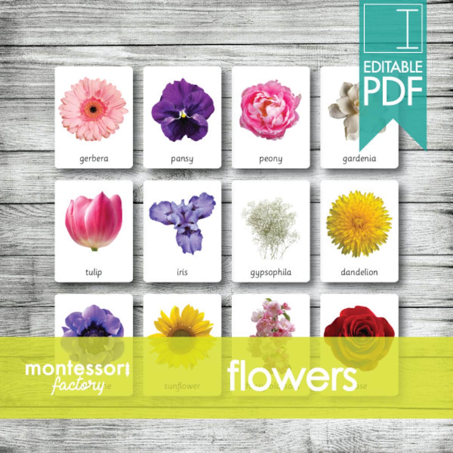FLOWERS real Pictures Montessori Cards Flash Cards - Etsy